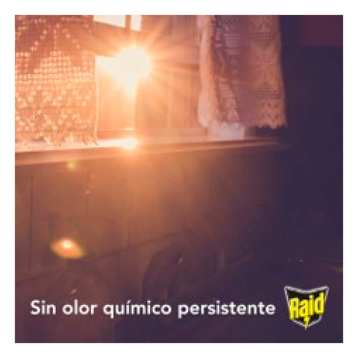 Insecticida en Aerosol Casa y Jardín Raid Naranja 400ml | Chedraui