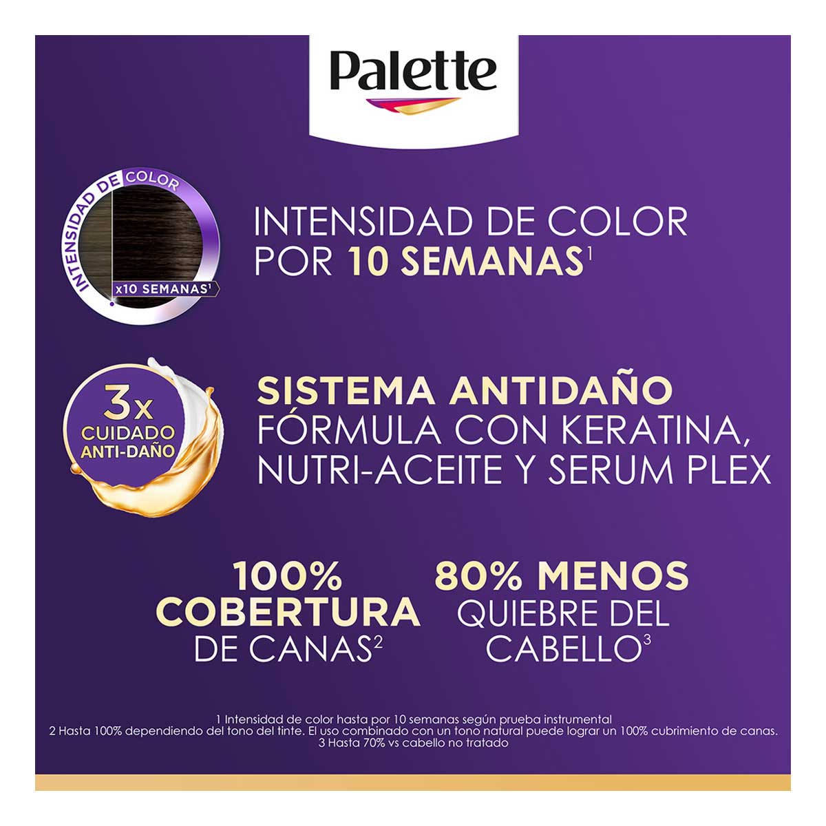 Tinte de Cabello Palette Color Creme Chocolate Oro 6-60 | Chedraui