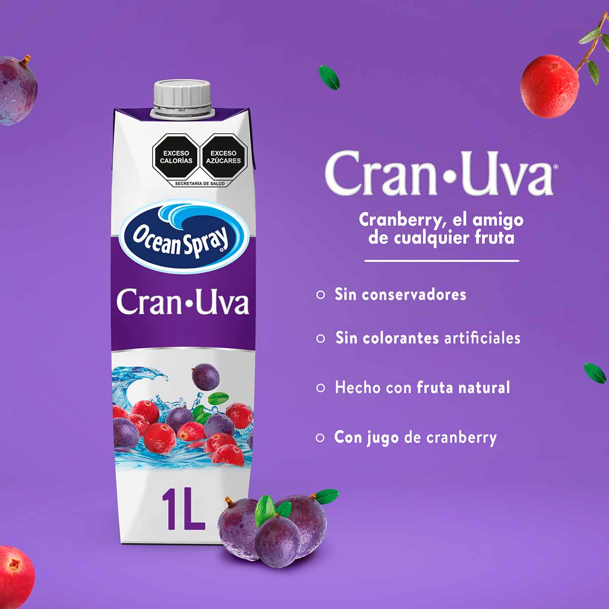 Ocean Spray Bebida de Arándano y Uva 1L | Chedraui