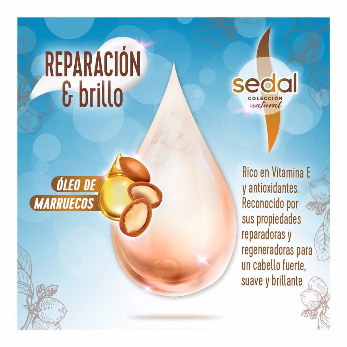 Shampoo Sedal Reparación y Brillo Bomba de Argán de Marruecos 620 ml ...