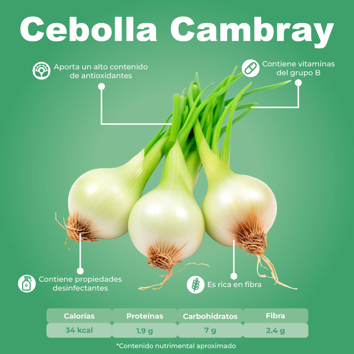 Cebolla de Cambray por Pieza | Chedraui