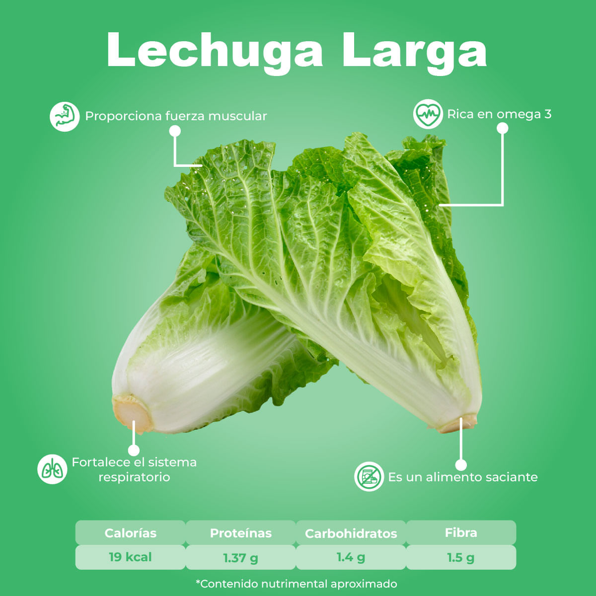 Lechuga Larga Pieza | Chedraui