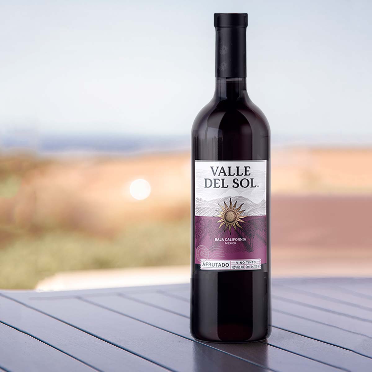 Vino Tinto Valle del Sol Afrutado 750ml | Chedraui