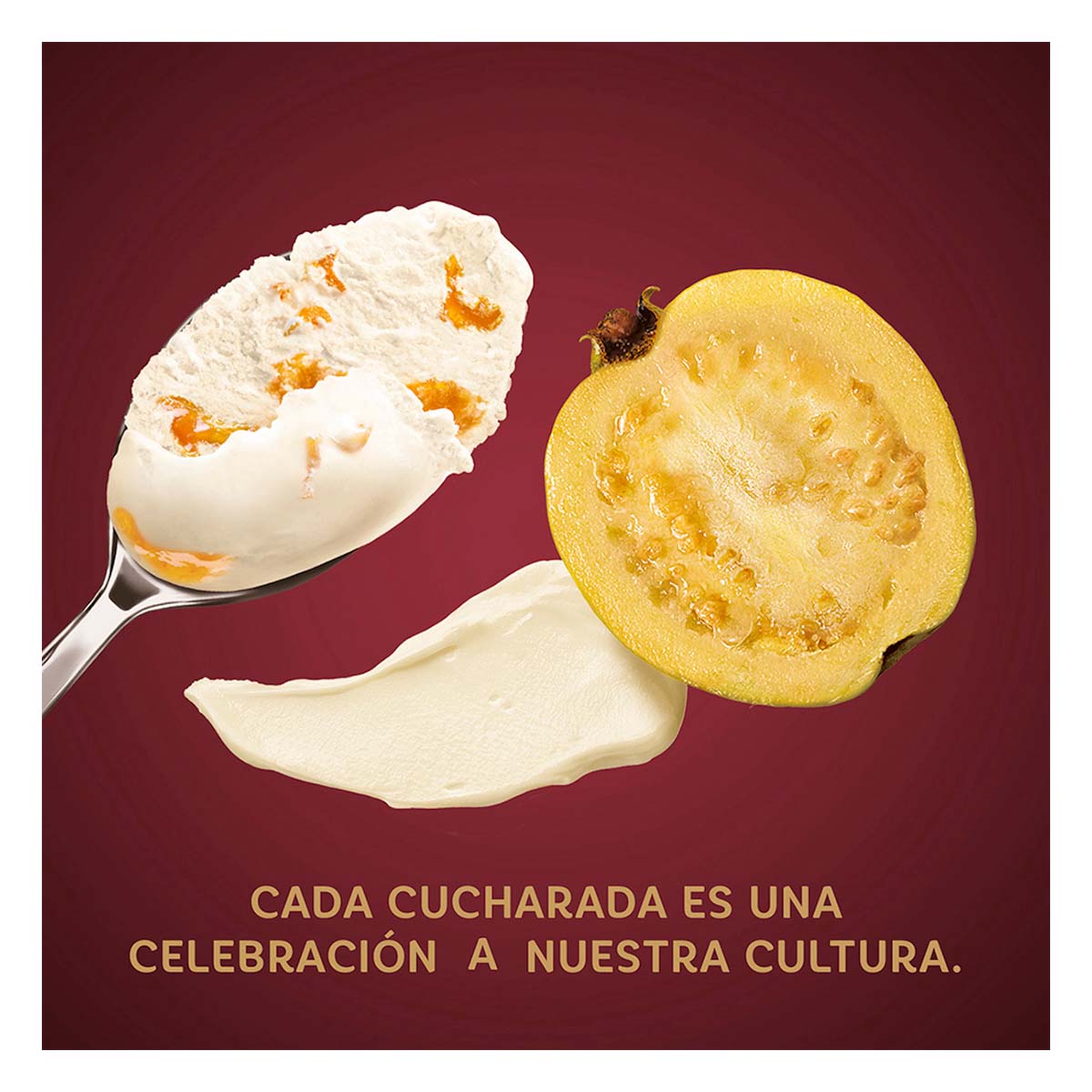 Helado Holanda Dulce Origen Queso con Mermelada de Guayaba 473ml | Chedraui
