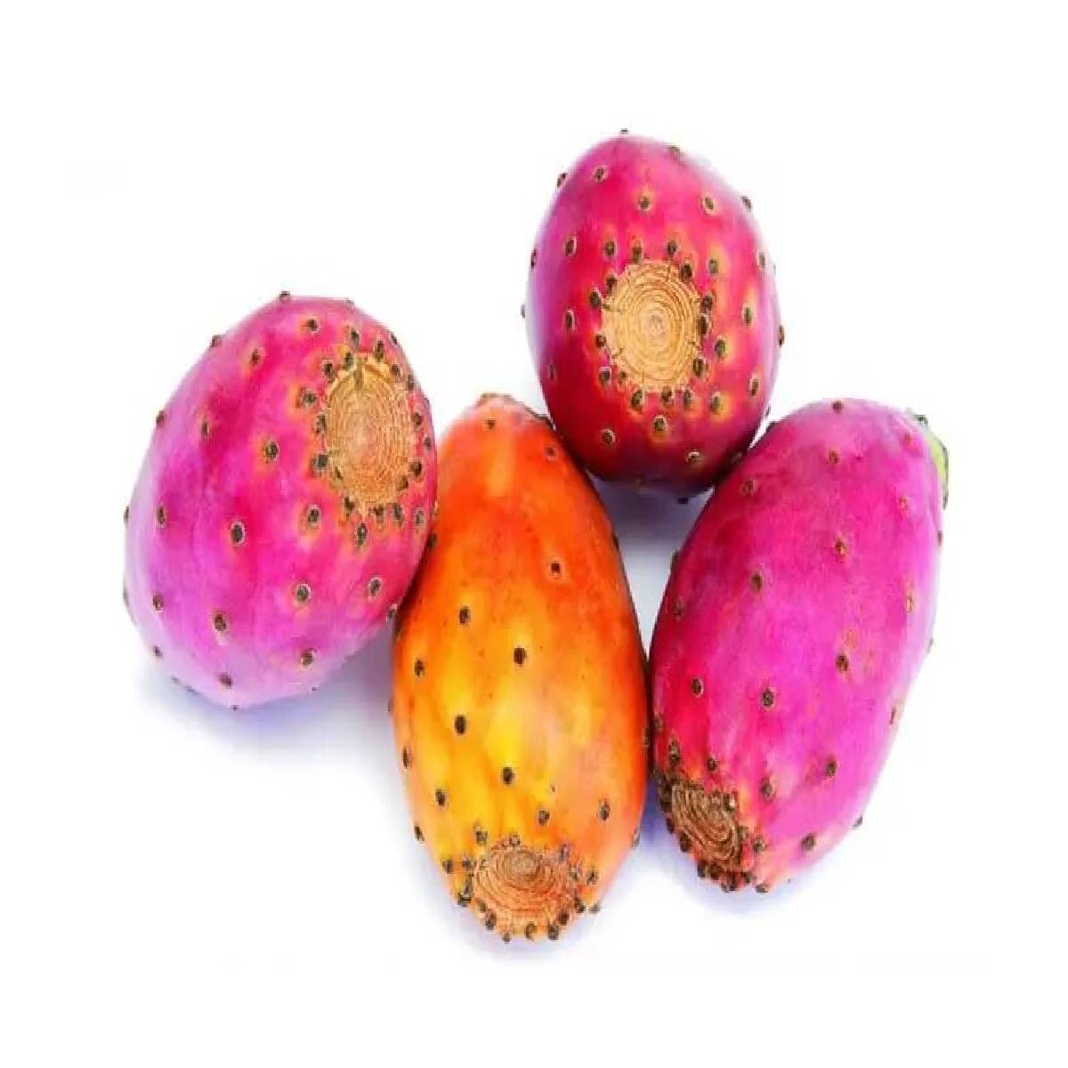 Xoconostle Kg | Chedraui