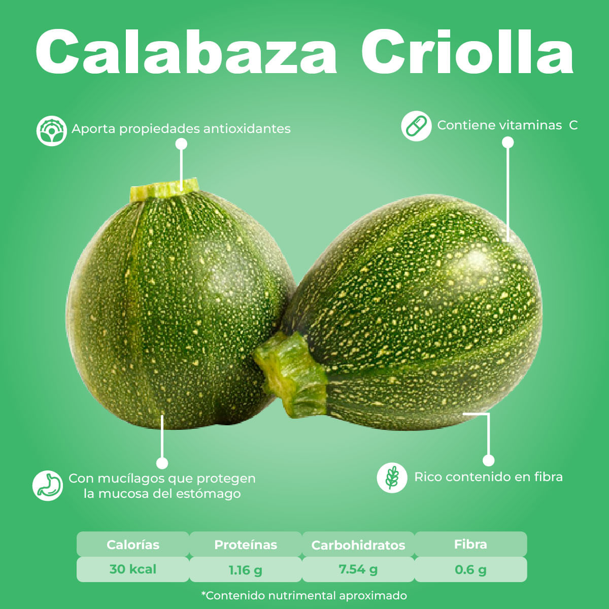 Calabaza Criolla por Kg | Chedraui