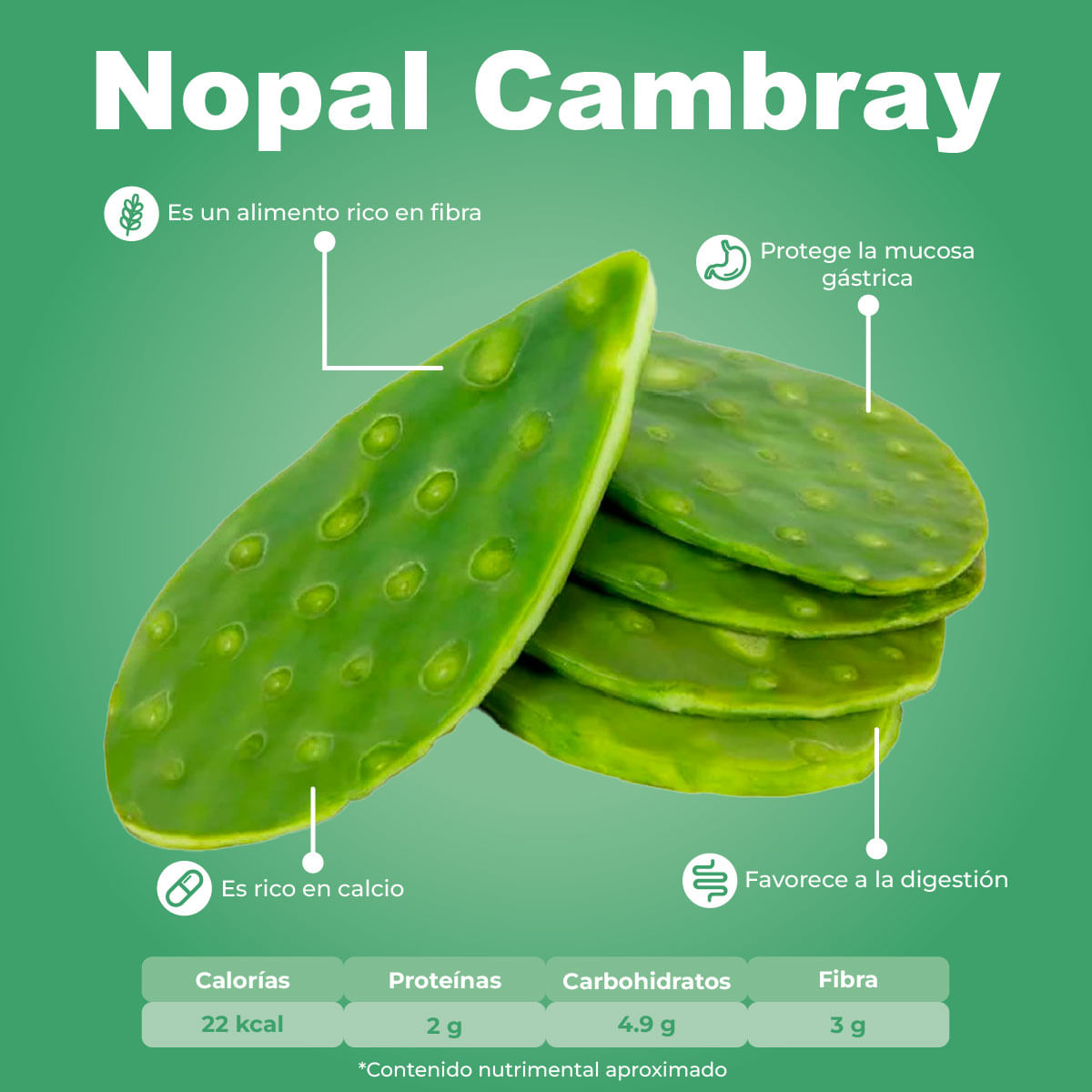 Nopal Cambray por kg | Chedraui