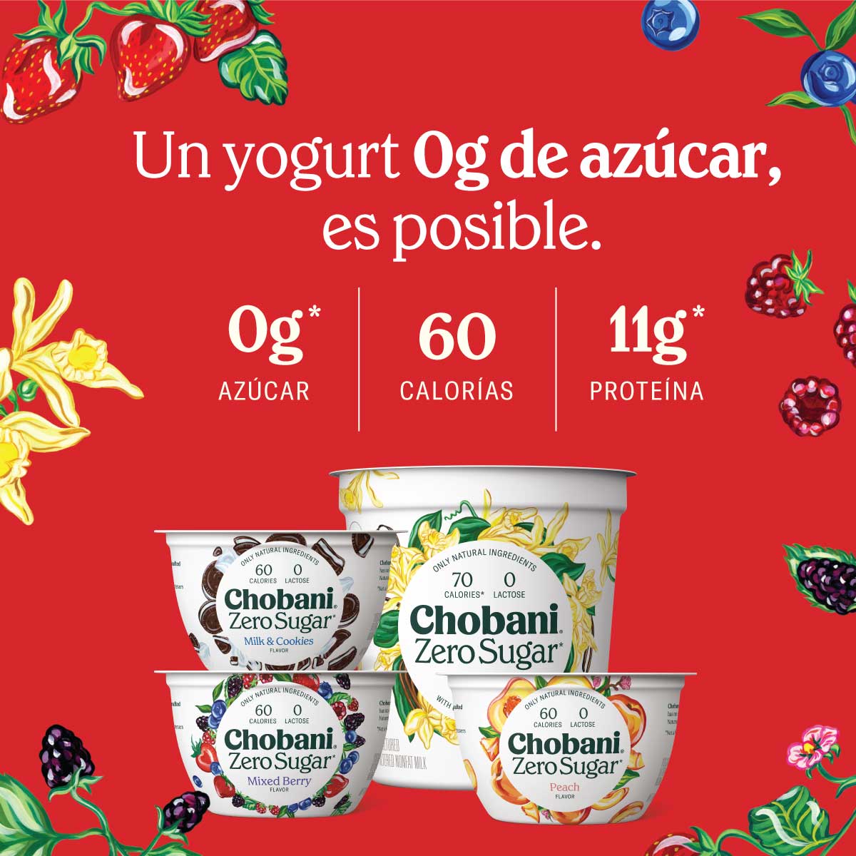 Yoghurt Chobani Batido Zero Sugar Mora Azul 150g | Chedraui